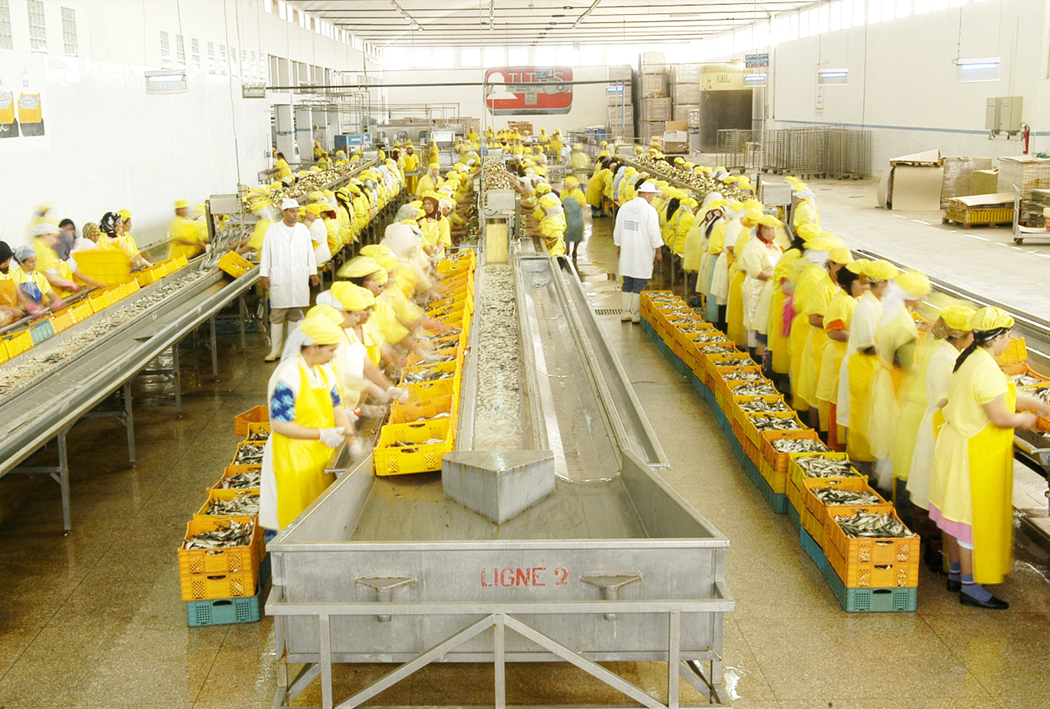 1 - Nourhan Trading Group